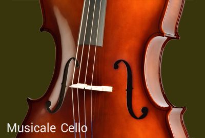 Cellos - Bellafina Strings